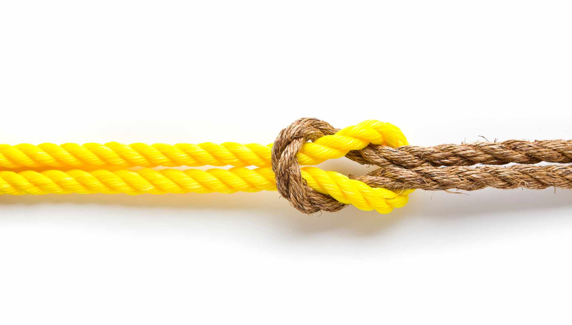 Building Relationships with Residents' Families: Best Practices - InvictIQ